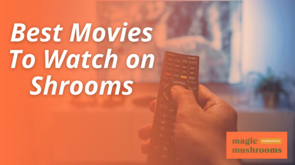 Best Movies To Watch on Shrooms
