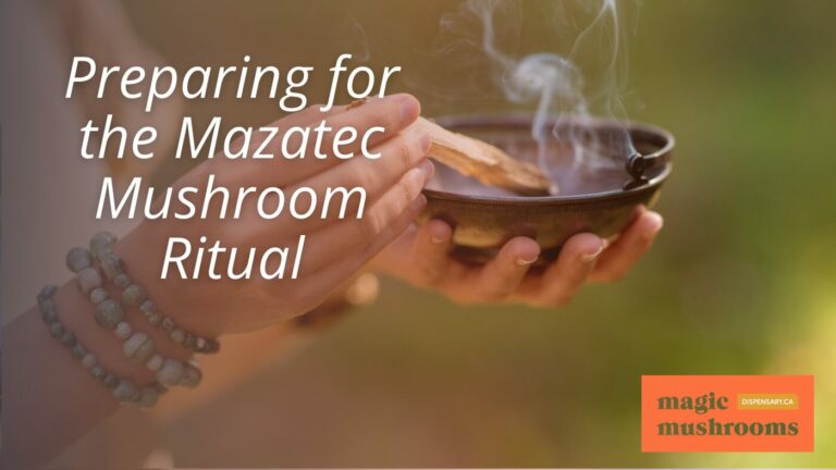 Exploring the Sacred: Insights Into the Mazatec Mushroom Ritual