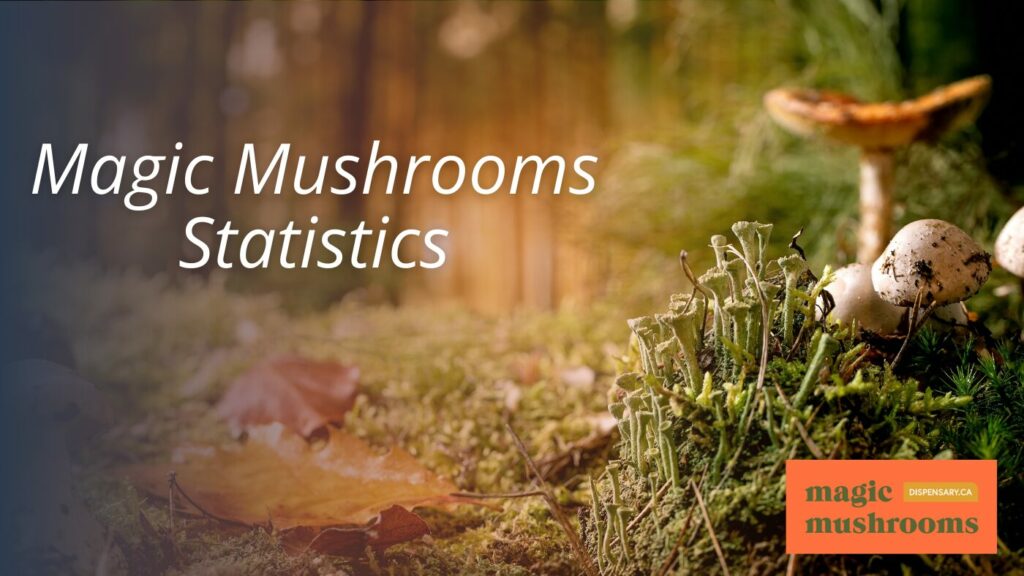 Exploring the Rise in Popularity: Magic Mushrooms Statistics Unveiled