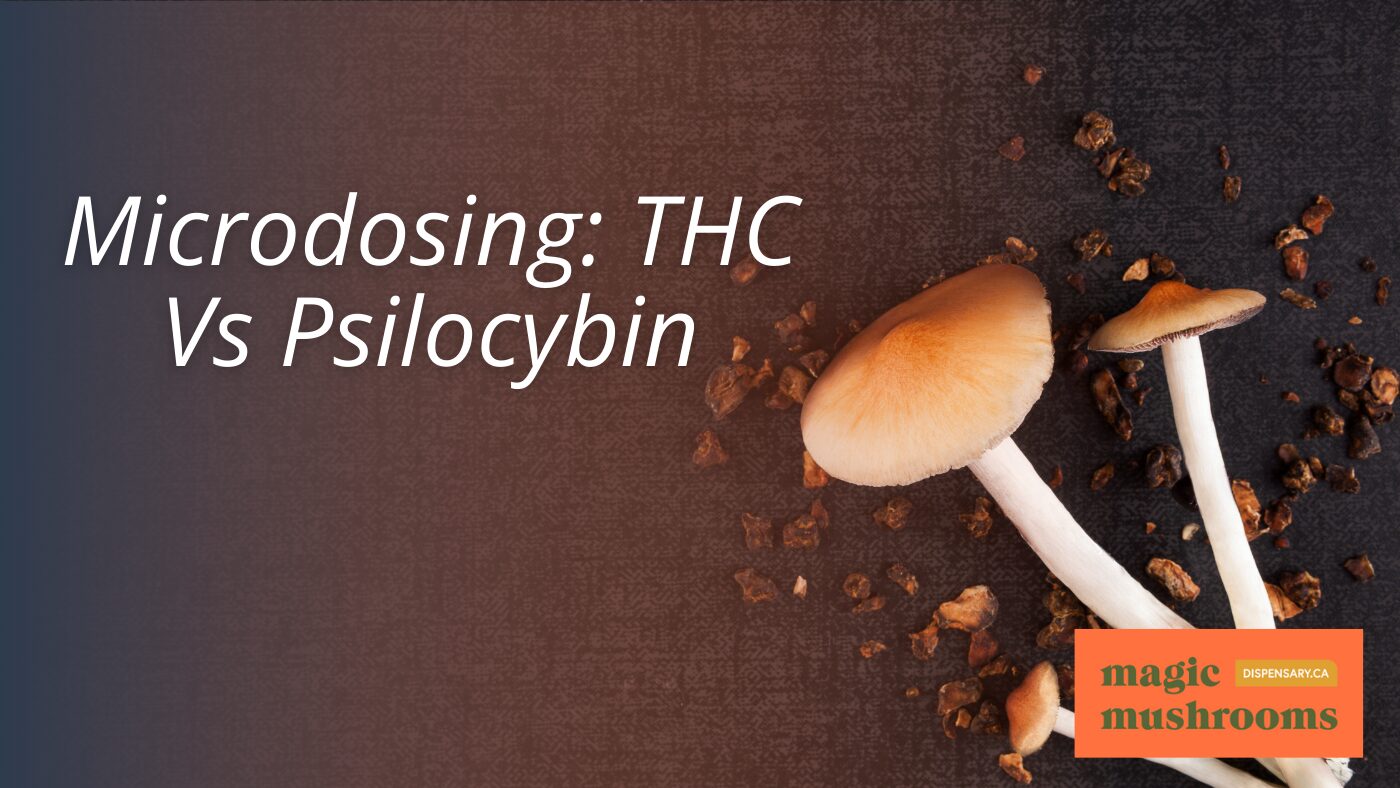 A Comprehensive Guide to THC Vs Psilocybin: Which Is Right for You?