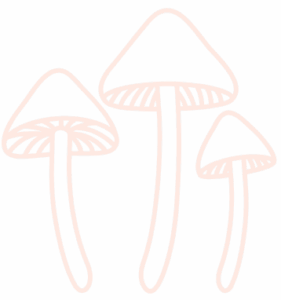 Buy British Columbia’s Best Shrooms